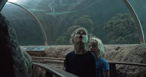 Siblings Looking Up Admiring the Sea Cre... | Stock Video | Pond5