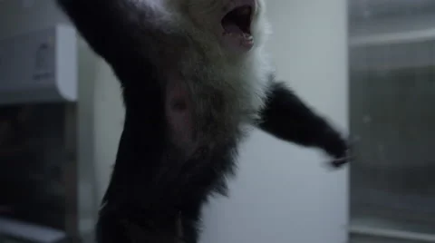 Sick Baby Stock Footage ~ Royalty Free Stock Videos | Pond5