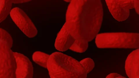 Sick Red blood cells in an artery | Stock Video | Pond5