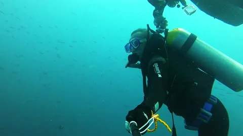 Side profile of Disabled scuba diver und... | Stock Video | Pond5