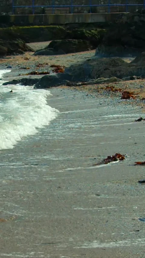 Beach Side Social Stock Videos – Royalty-Free HD & 4K Videos