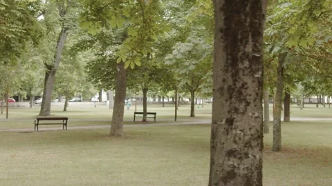 Side tracking shot of a park with cyclis... | Stock Video | Pond5