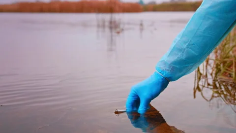 Side View Gloved Hand Into Water Collect... | Stock Video | Pond5