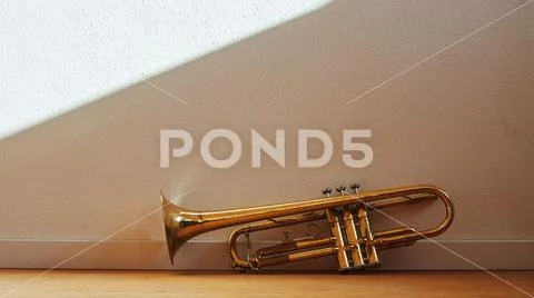 Photograph: Side view of a gold trumpet instrument on a white wall ...