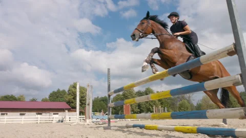Horse Jumping Stock Videos – Royalty-Free HD & 4K Videos | Page 2