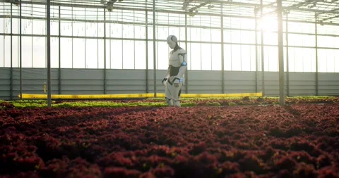 Side view of humanoid robot walking and ... | Stock Video | Pond5