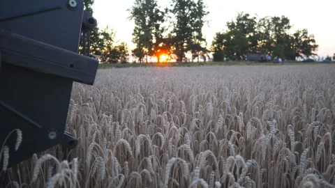Side view knife of combine spinning and ... | Stock Video | Pond5