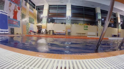 Adult Getting Out Of Pool Stock Video Footage | Royalty Free Adult ...