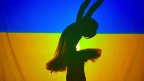 Woman Military Silhouette Stock Videos – Royalty-Free HD & 4K Videos ...