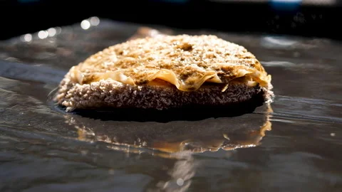 Side view of South African abalone speci... | Stock Video | Pond5