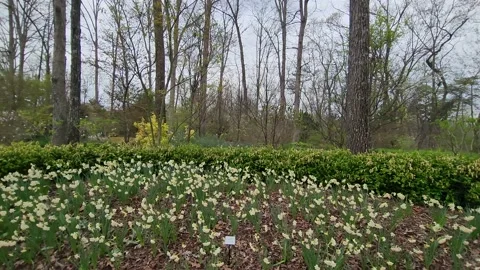 sideways footage of a gorgeous spring la... | Stock Video | Pond5