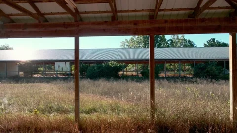 Sideways push from inside a horse stable... | Stock Video | Pond5