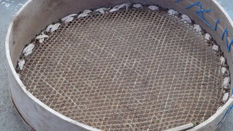 sieve for cleaning grain, chickpea sieve... | Stock Video | Pond5