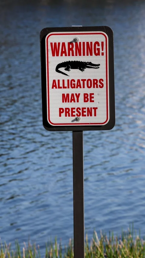 Sign in front of lake: Warning! alligato... | Stock Video | Pond5