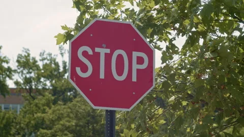 Sign Says: Stop Sign, Road Sign | Stock Video | Pond5