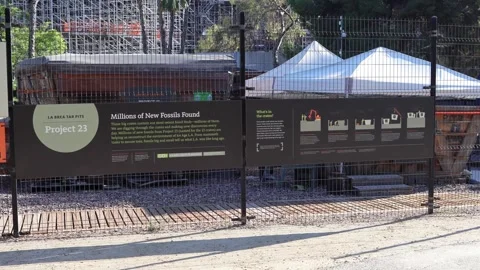 In Millions Sign Stock Videos – Royalty-Free HD & 4K Videos