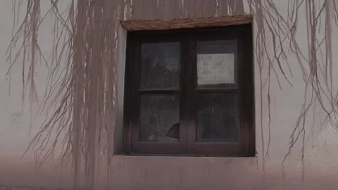 Adobe Signout Stock Videos – Royalty-Free HD & 4K Videos