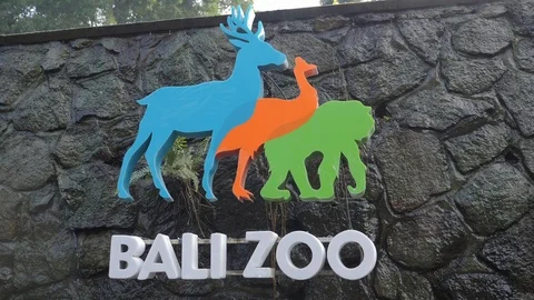Signage Bali zoo with colourful cutout a... | Stock Video | Pond5