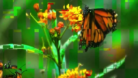 Signal Error Motion Effect AEP ~ After Effects #283752875