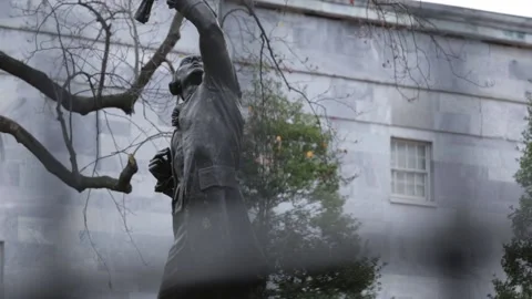 N Signer Stock Videos – Royalty-Free HD & 4K Videos