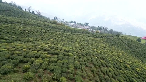 Sikkim mountains, Himalayan villages, te... | Stock Video | Pond5