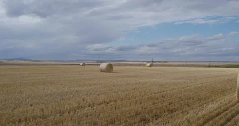 Silage Hay Bales on Beautiful Big Sky, M... | Stock Video | Pond5