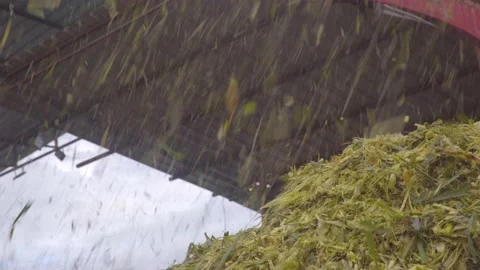 silage making process in plant | Stock Video | Pond5