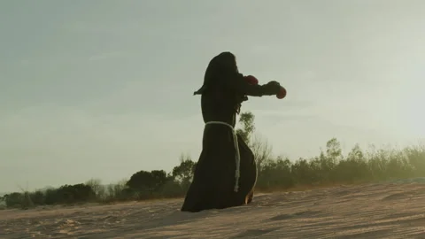 Silhouette Boxing Glove Stock Videos – Royalty-Free HD & 4K Videos | Page 5