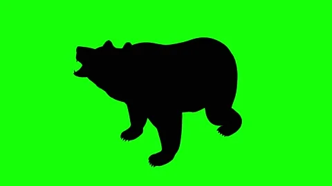 Silhouette of a bear howling, on green s... | Stock Video | Pond5