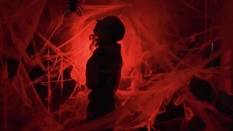 Spider Man Silhouette Stock Videos – Royalty-Free HD & 4K Videos