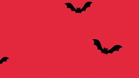 Silhouette flock of bats on a red backgr... | Stock Video | Pond5