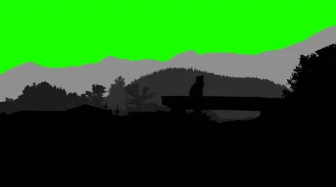 Forest Green Screen Stock Video Footage | Royalty Free Forest Green ...