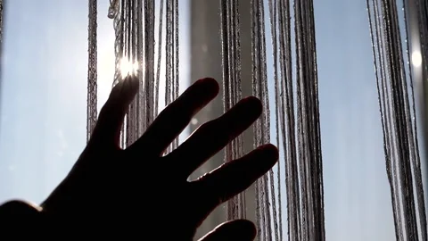 Sunlight Threaded Through Stock Videos – Royalty-Free HD & 4K Videos