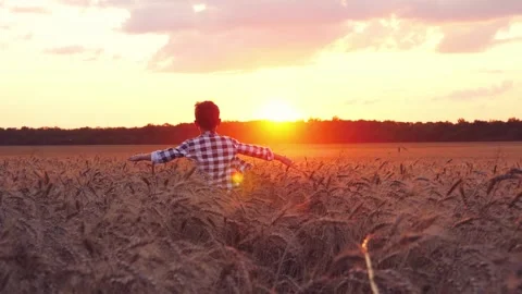 Silhouette of a happy boy back view. A c... | Stock Video | Pond5