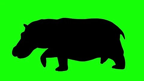 Running Animal Green Screen Stock Video Footage | Royalty Free Running ...