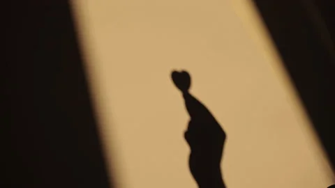 Silhouette Human Heart Stock Videos – Royalty-Free HD & 4K Videos | Pond5