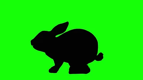 Silhouette of a rabbit idle, on green sc... | Stock Video | Pond5