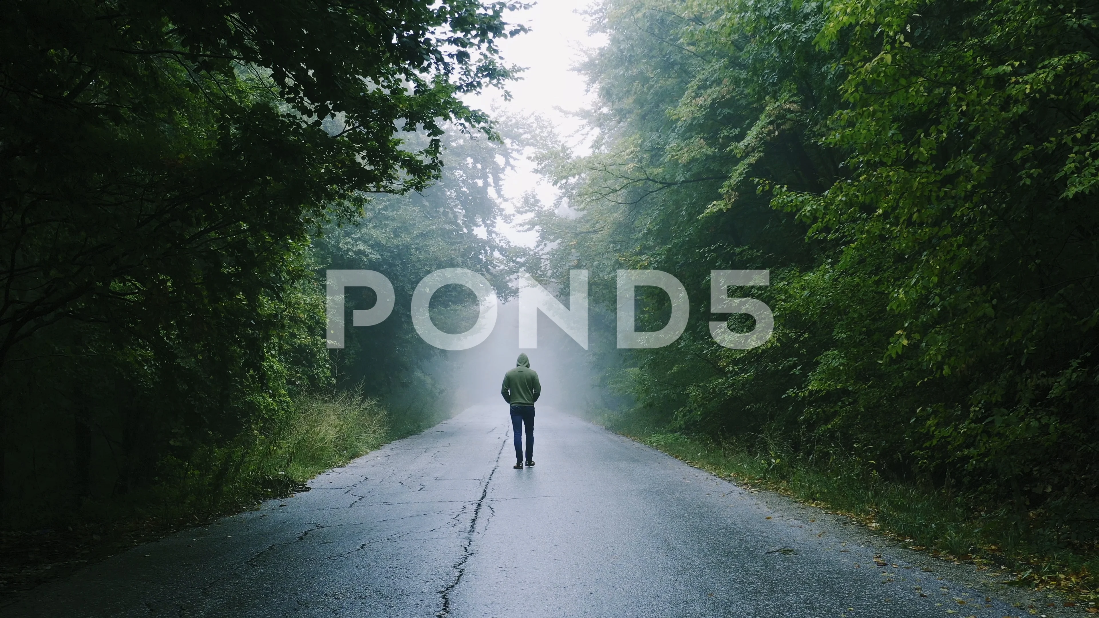 Person Walking Alone Silhouette