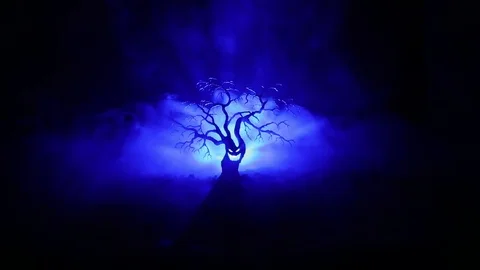 Silhouette of scary tree with horror fac... | Stock Video | Pond5