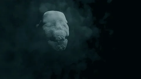 The silhouette of the skull flies throug... | Stock Video | Pond5