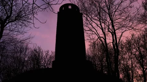 Silhouette of Trees and Branches in Fore... | Stock Video | Pond5