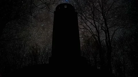 Silhouette of Trees and Branches in Fore... | Stock Video | Pond5