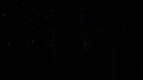 Silhouette of Trees and Branches in Fore... | Stock Video | Pond5