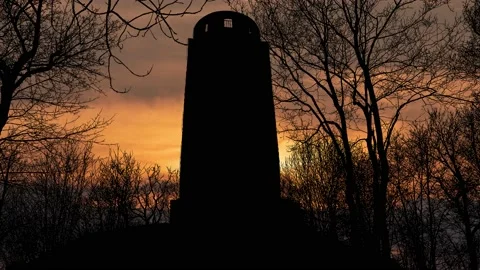 Silhouette of Trees and Branches in Fore... | Stock Video | Pond5