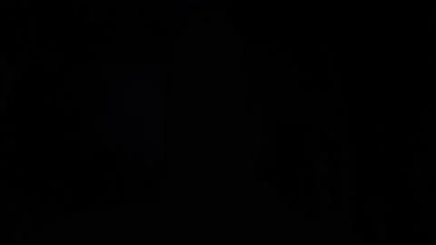 Silhouette of Trees and Branches in Fore... | Stock Video | Pond5