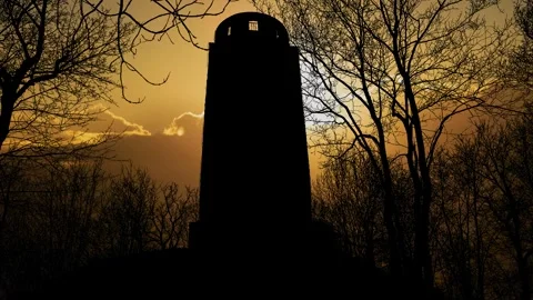 Silhouette of Trees and Branches in Fore... | Stock Video | Pond5