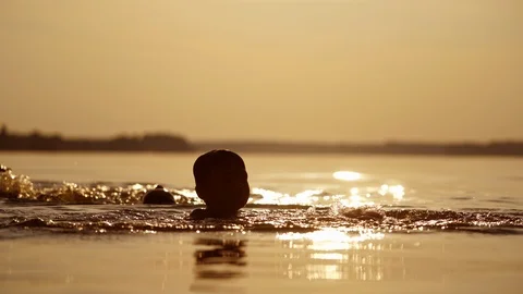 Cute Silhouette Stock Videos – Royalty-Free HD & 4K Videos