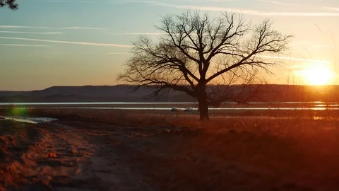 silhouette two men on the road at sunset... | Stock Video | Pond5