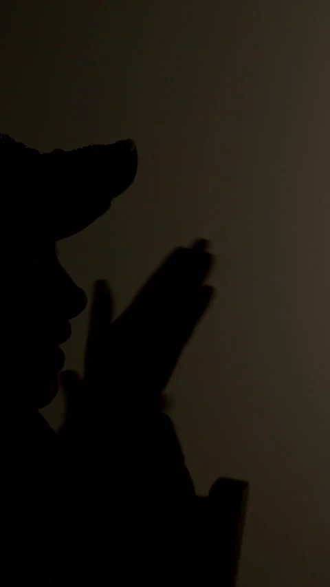 Silhouette of a woman giving an anonymou... | Stock Video | Pond5