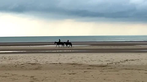 Silhouette of a Woman Riding a Walking H... | Stock Video | Pond5